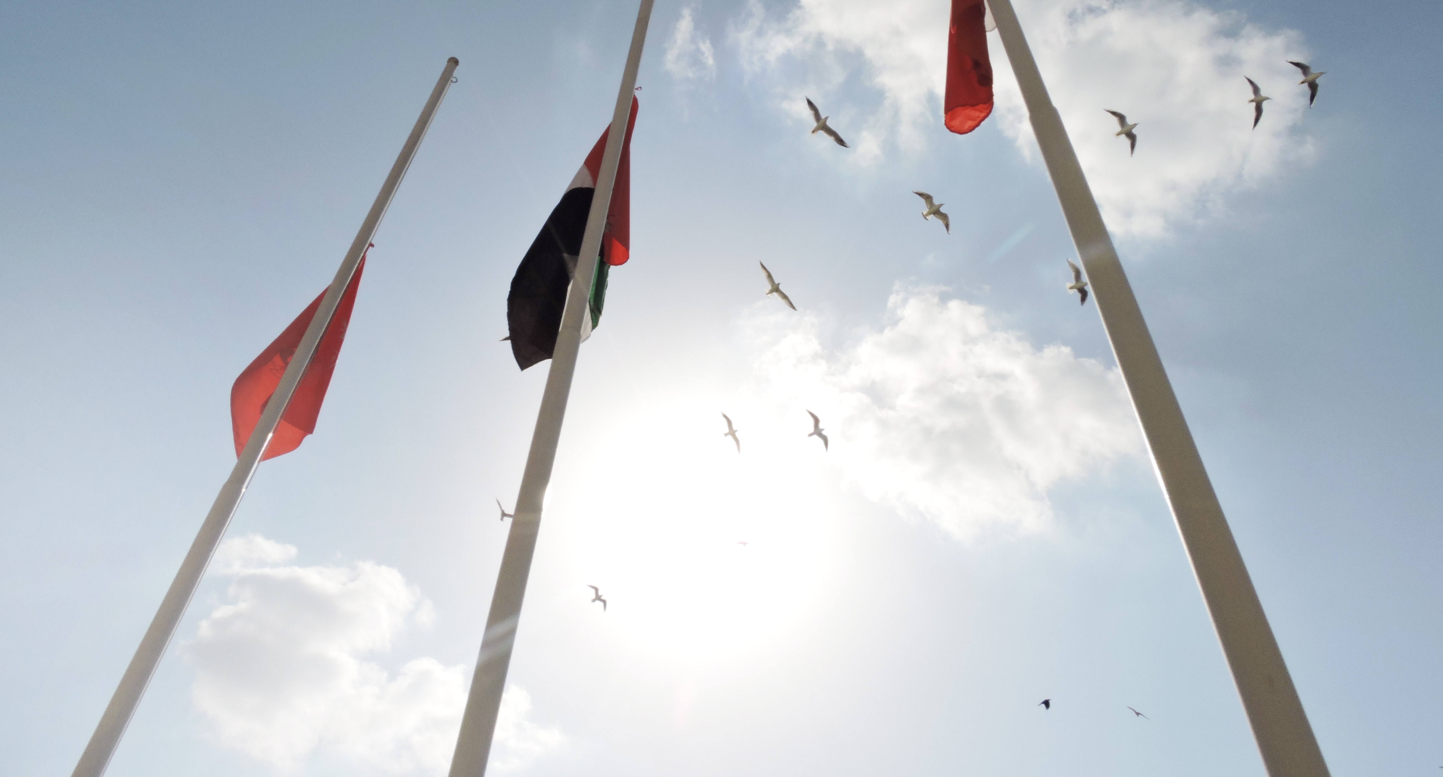 Al Mawakeb Schools, Managed by AMSI